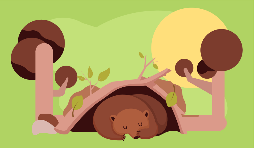 Hibernation of Animals - Bitely